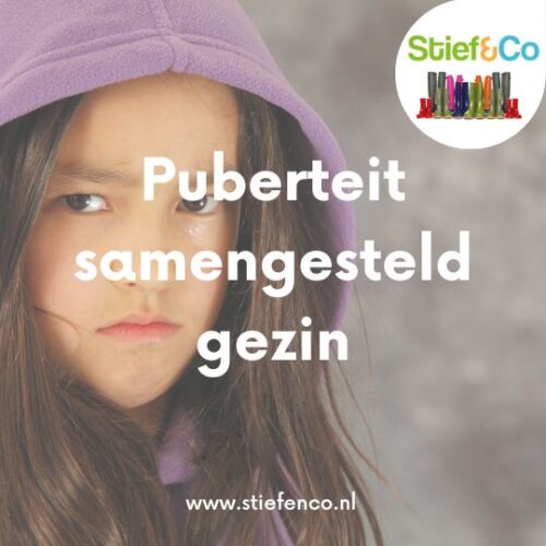 Puberteit in het samengesteld gezin | tips | Stief & Co