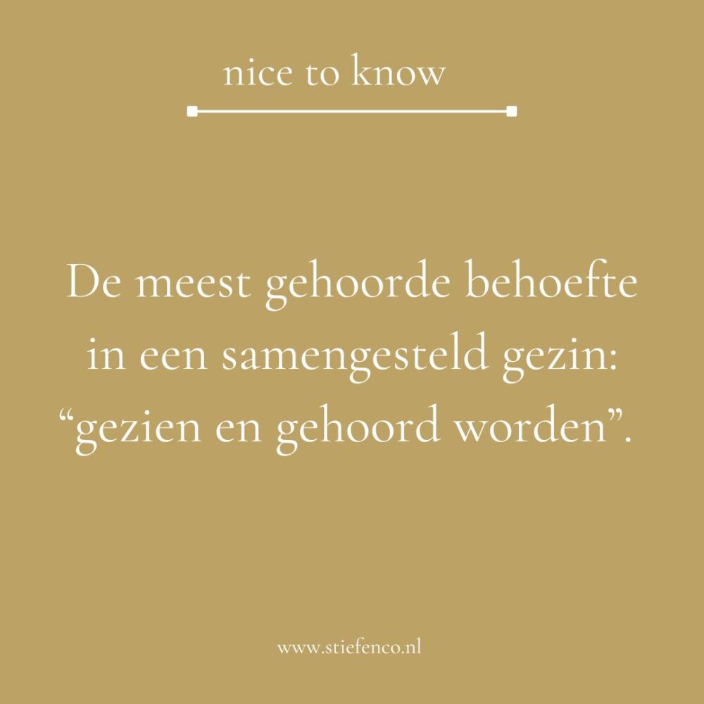 Gezien en gehoord worden in het samengesteld gezin | Stief & Co